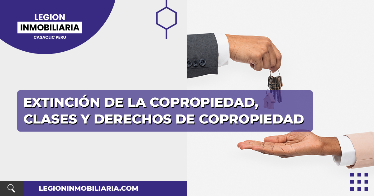 Extinción de la Copropiedad, clases y derechos de copropiedad - Legion ...